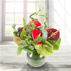 Elsa Brown Florist Surbiton - Order Online or 020 8399 3975