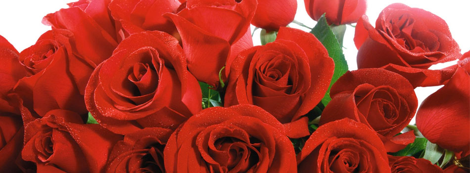 Elsa Brown Florist Surbiton - Order Online or 020 8399 3975