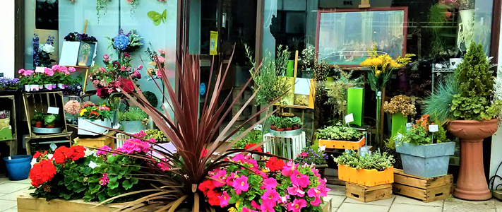 Elsa Brown Florist Surbiton - Order Online or 020 8399 3975