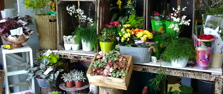 Elsa Brown Florist Surbiton - Order Online or 020 8399 3975