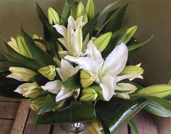 Simple White Oriental Lilies Elsa Brown Florist Surbiton