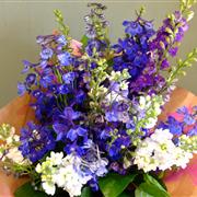 Traditional Original Elsa Brown Florist Surbiton