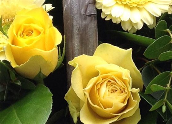 Sunlight Basket Elsa Brown Florist Surbiton